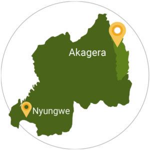 Akagera National Park - Akagera National Park